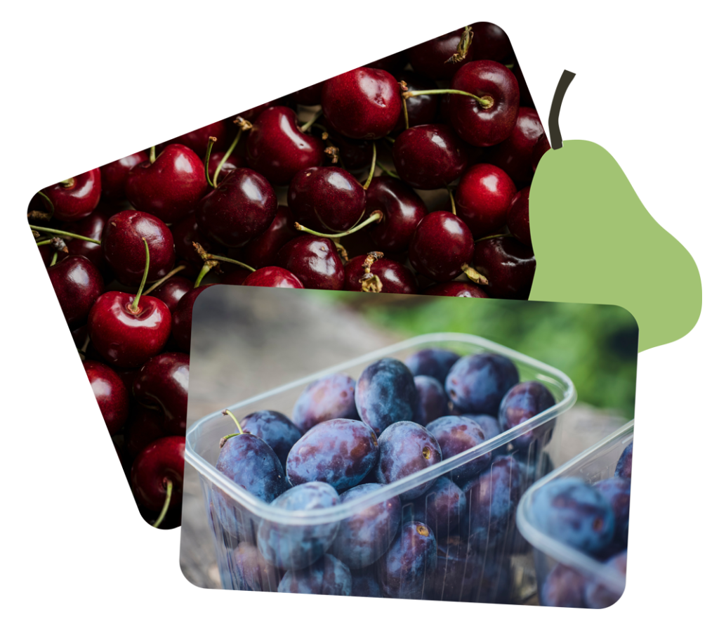 Fruit tree map - Revelstoke Fruit Share